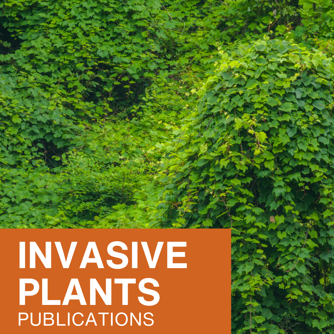 FOR177 - Field Guide to Kentucky's Invasive Plants | Forestry and Natural Resources